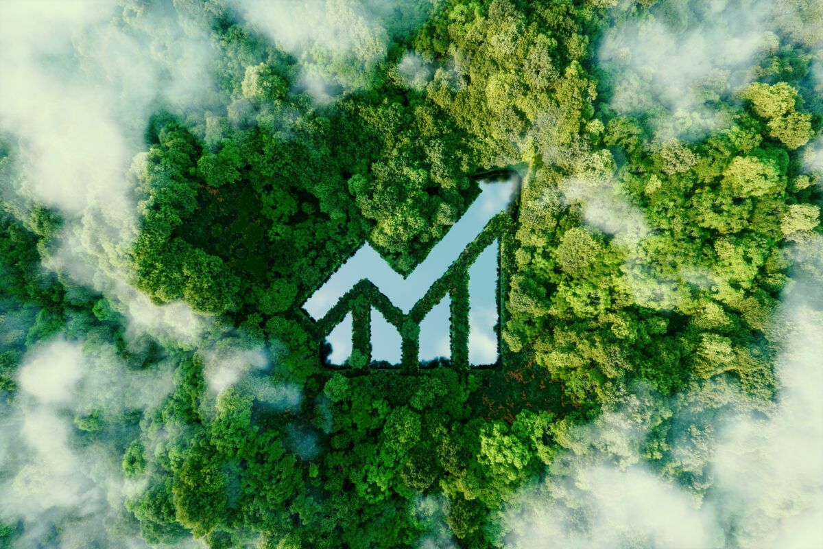 'Natural capital is no longer peripheral': Asset manager report ...