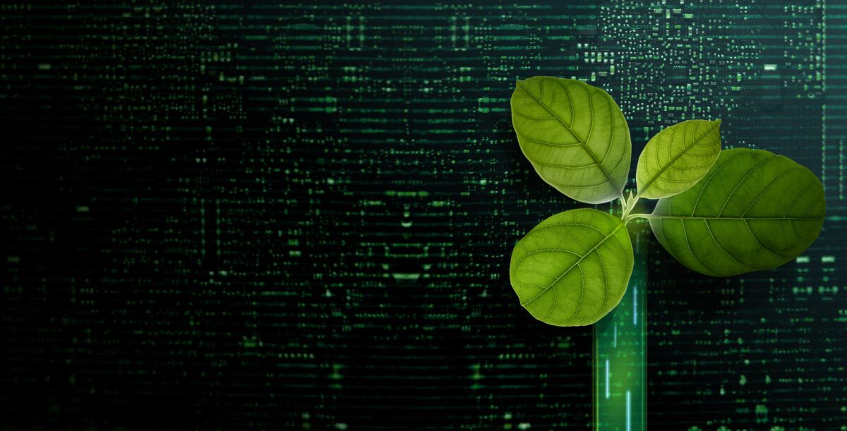 Northern Trust announces carbon credits blockchain platform - PA Future