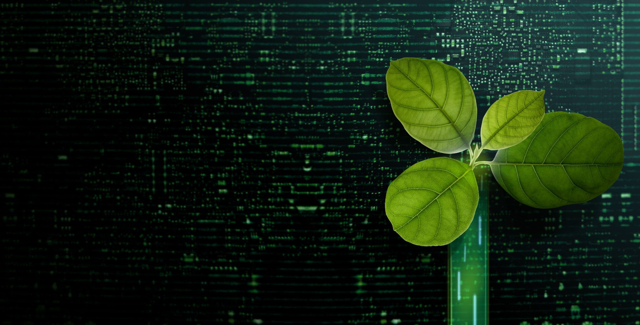 Northern Trust announces carbon credits blockchain platform - PA Future