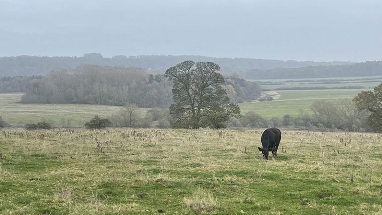 CIP launches bioenergy fund with €1.5bn target - PA Future